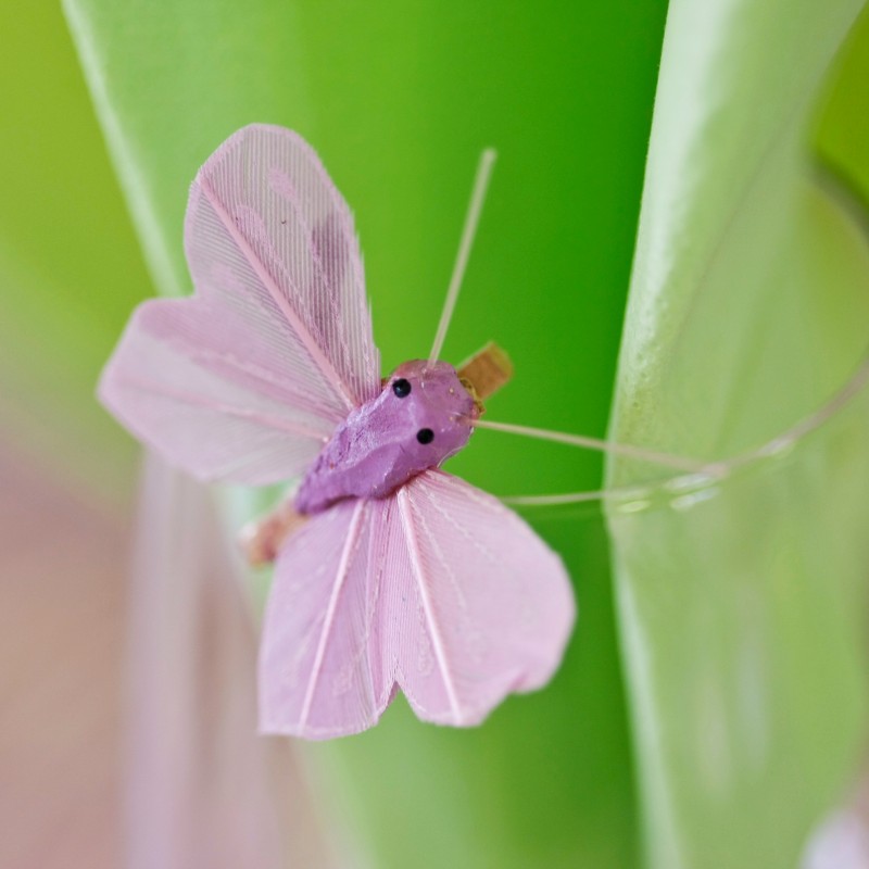 Mini papillons sur pince (x6) parme - MaPlusBelleDeco.com